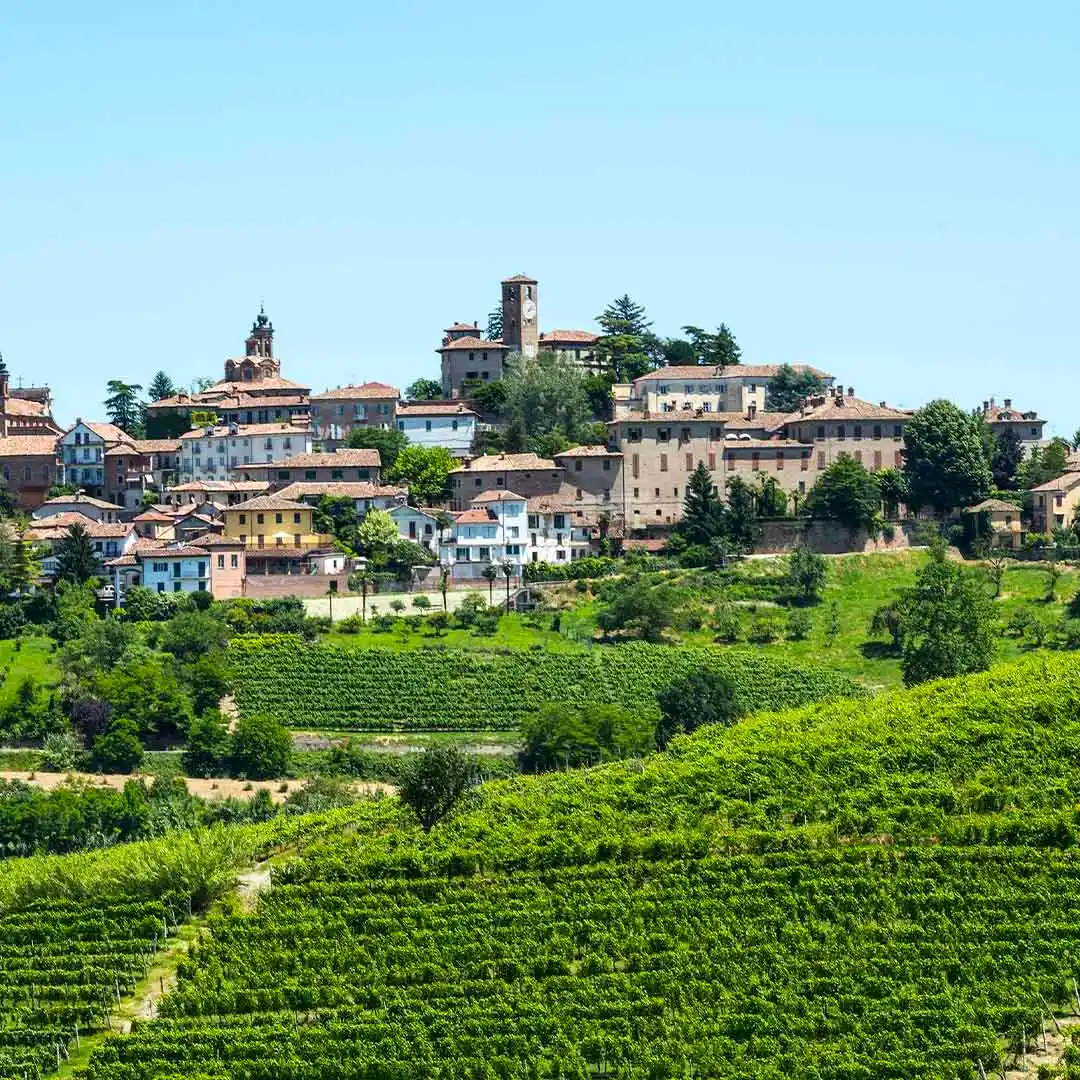 Cosa Vedere nelle Langhe: Itinerari tra Colline e Castelli - Locanda ...